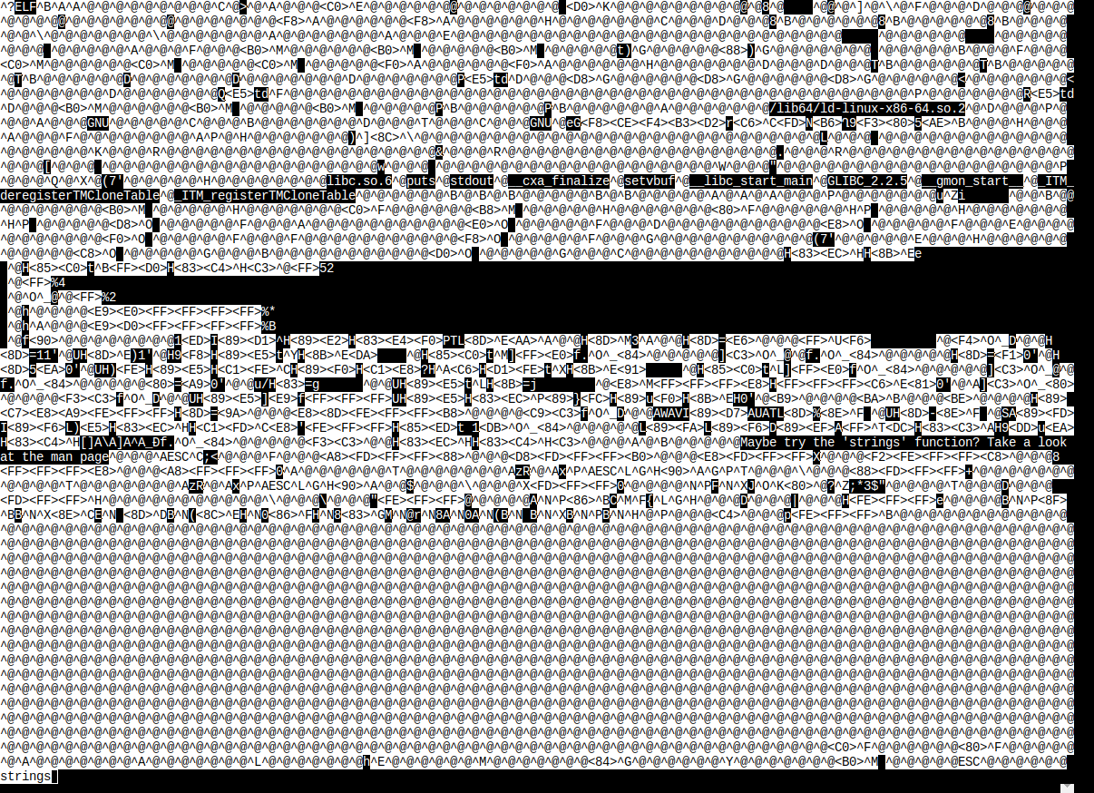 grimmer-std | #1 PicoCTF2019 - kategoria umiejętności ogólne